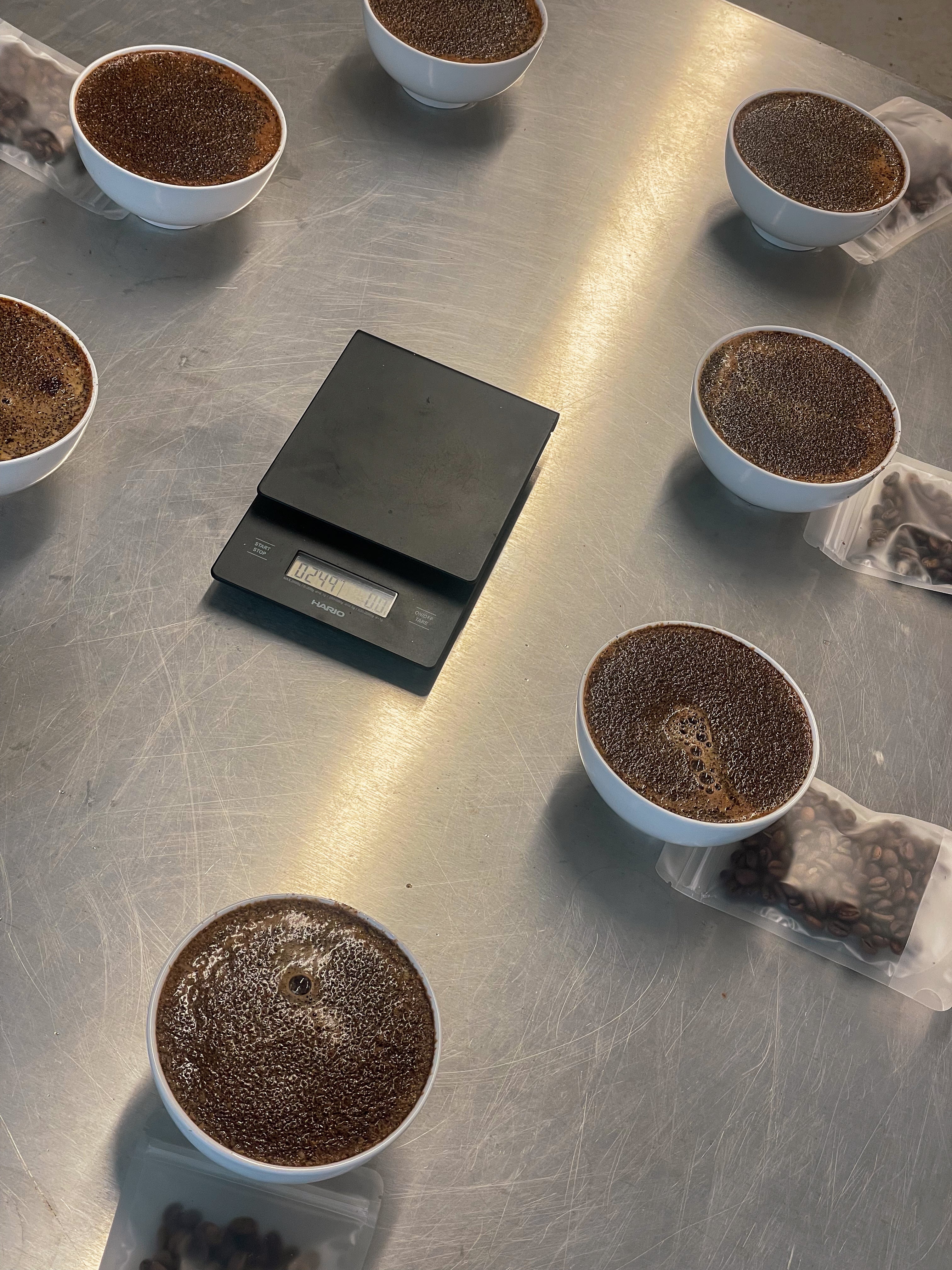 From the Cupping Table: Sampling New Coffees at Ómra – Ómra Coffee ...